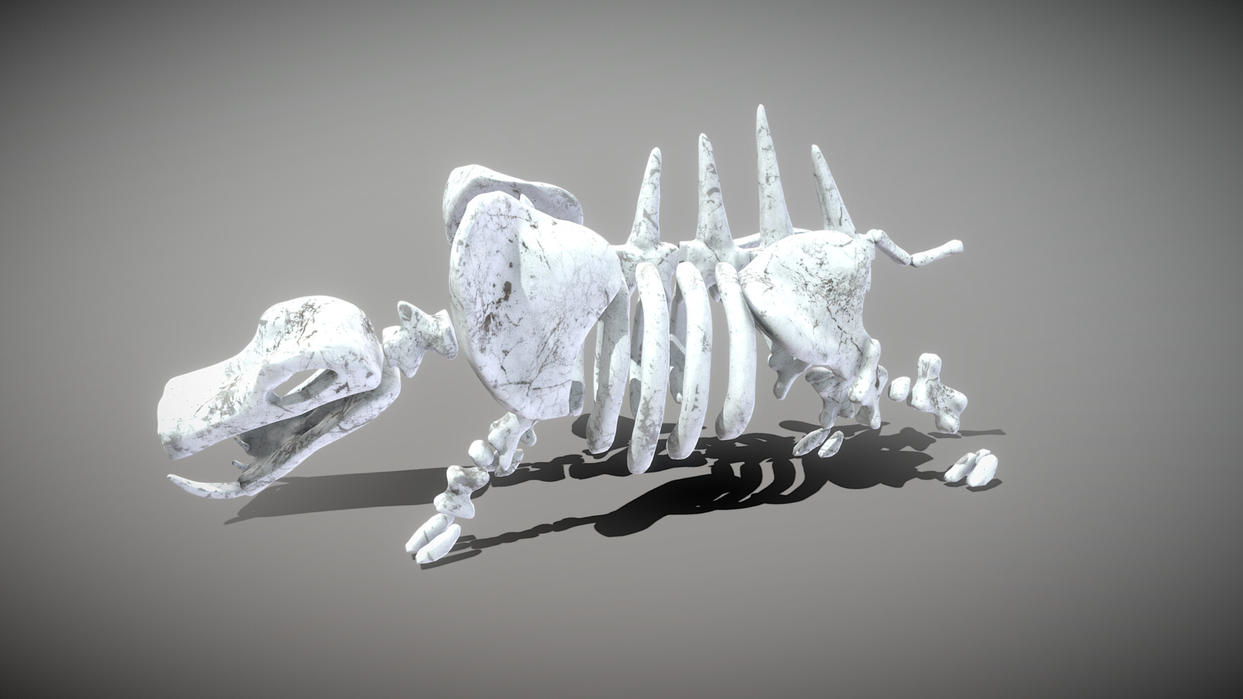 ArtStation - Hippo Skeleton | Game Assets