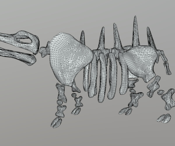 ArtStation - Hippo Skeleton | Game Assets