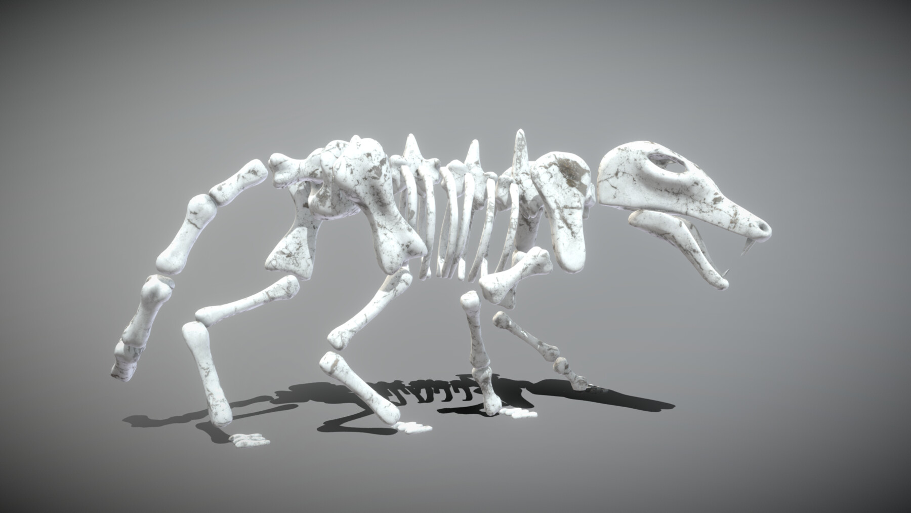 ArtStation - Wolf Skeleton | Game Assets