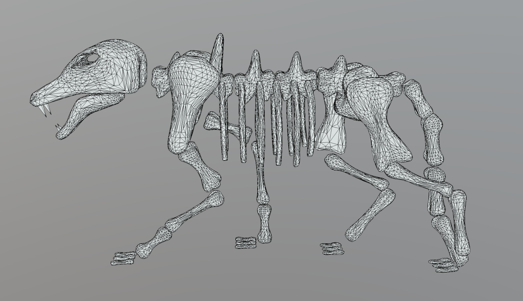 ArtStation - Wolf Skeleton | Game Assets