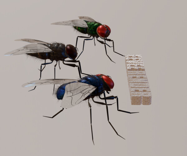 ArtStation - Flies for blender! | Resources