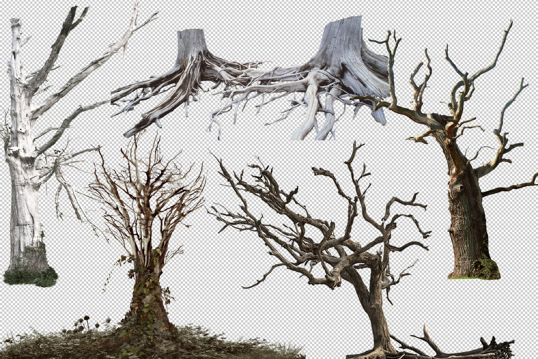 ArtStation - 150 Bare trees overlays, Dead tree PNG, Dry branches ...