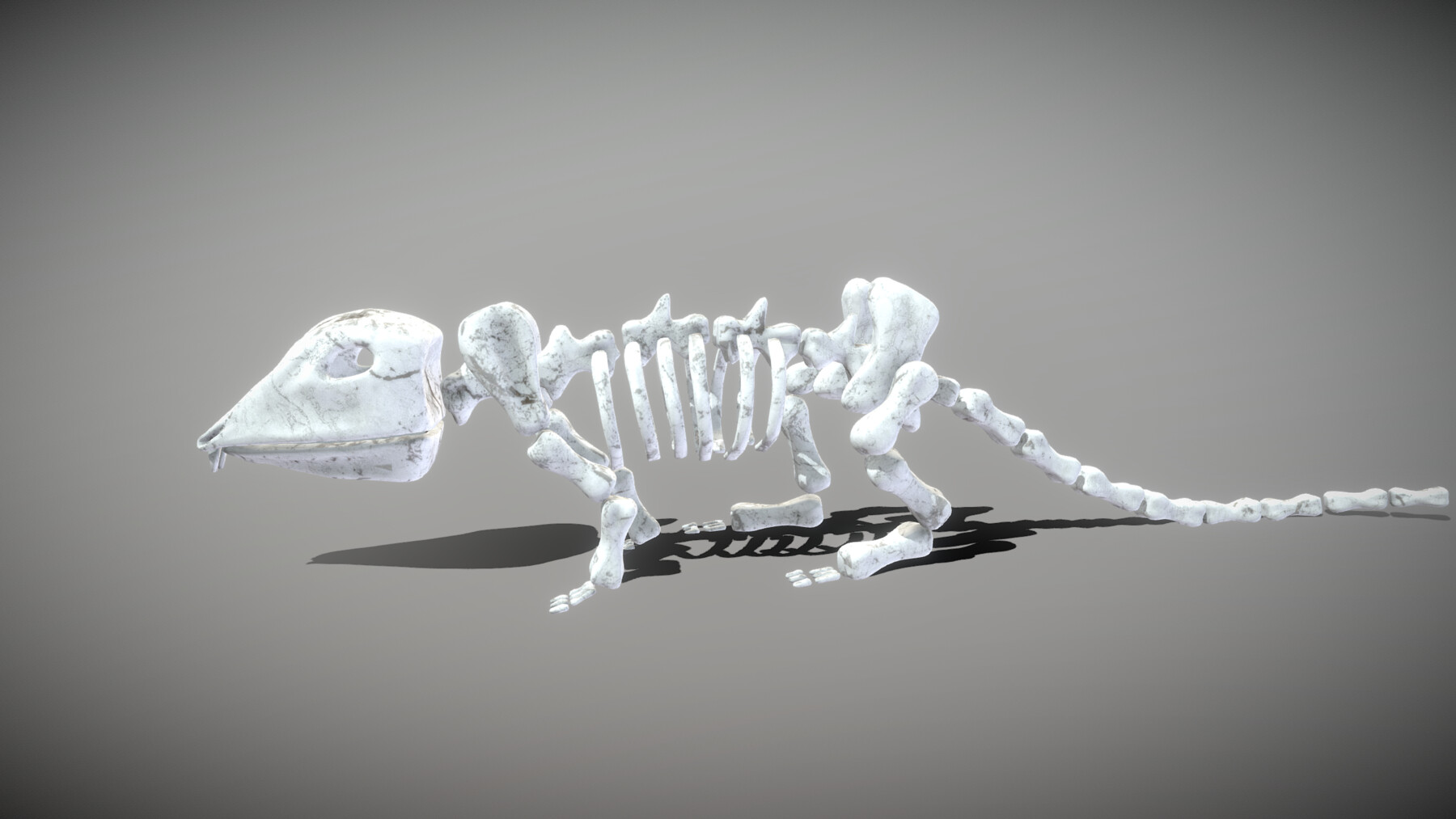 ArtStation - Mouse Skeleton | Game Assets