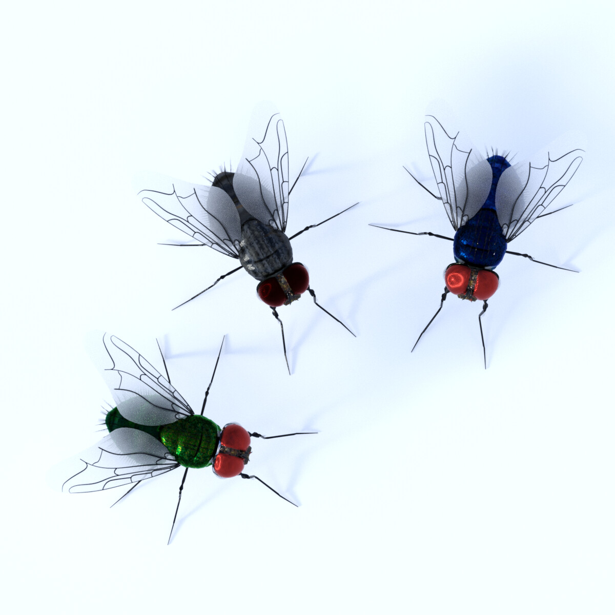 ArtStation - Flies for DazStudio | Resources