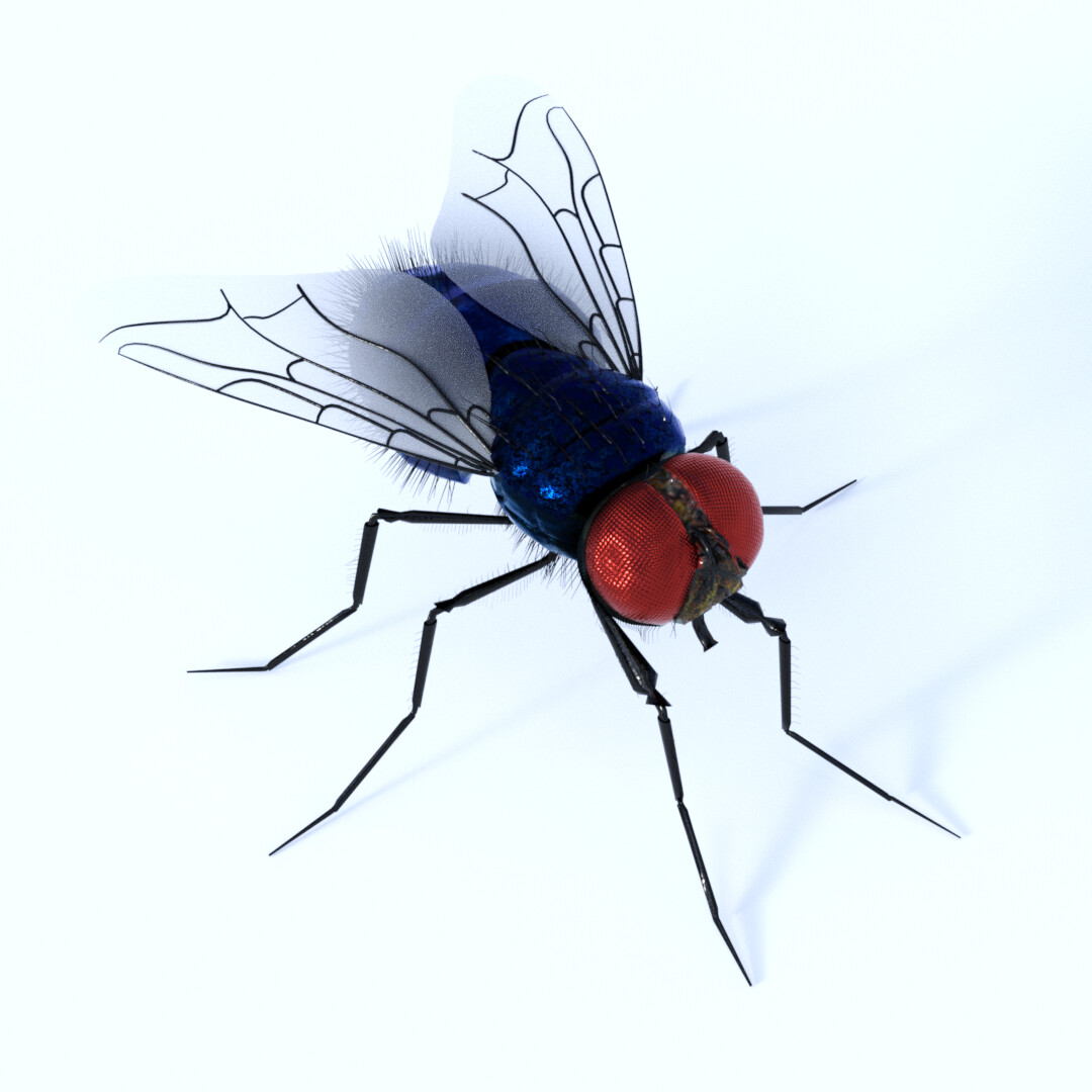 ArtStation - Flies for DazStudio | Resources
