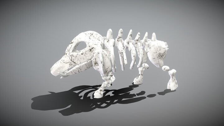 ArtStation - Boar Skeleton | Game Assets