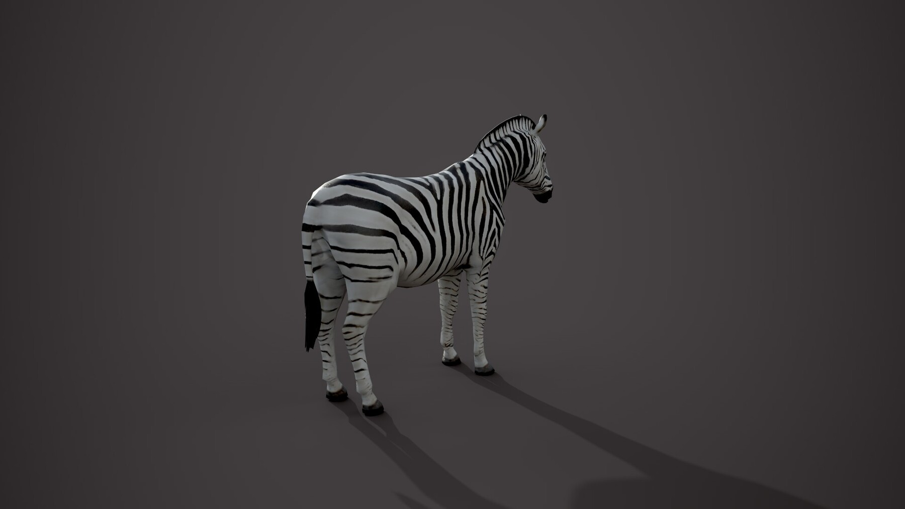 ArtStation - Animal Zebra | Game Assets
