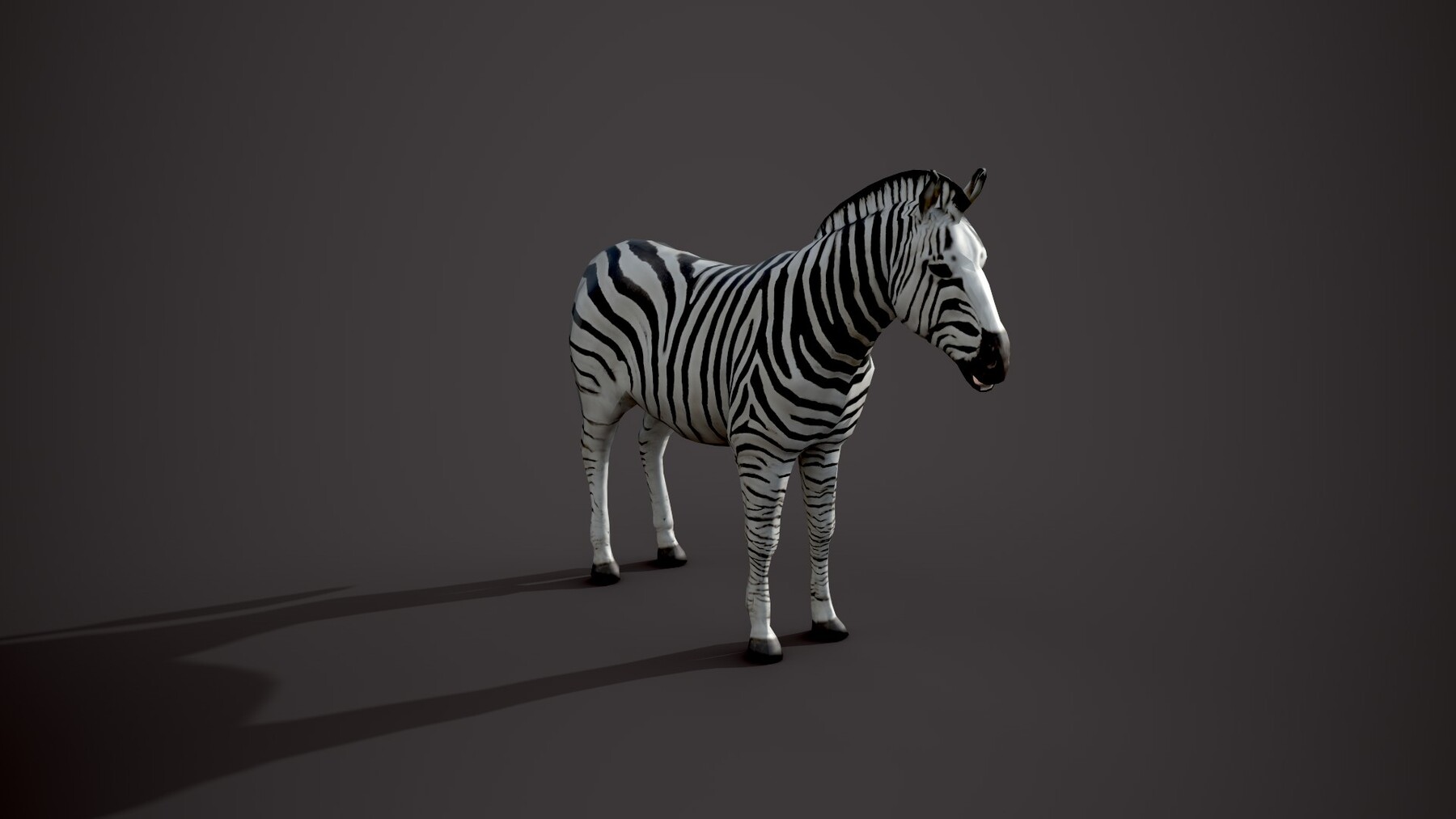 ArtStation - Animal Zebra | Game Assets