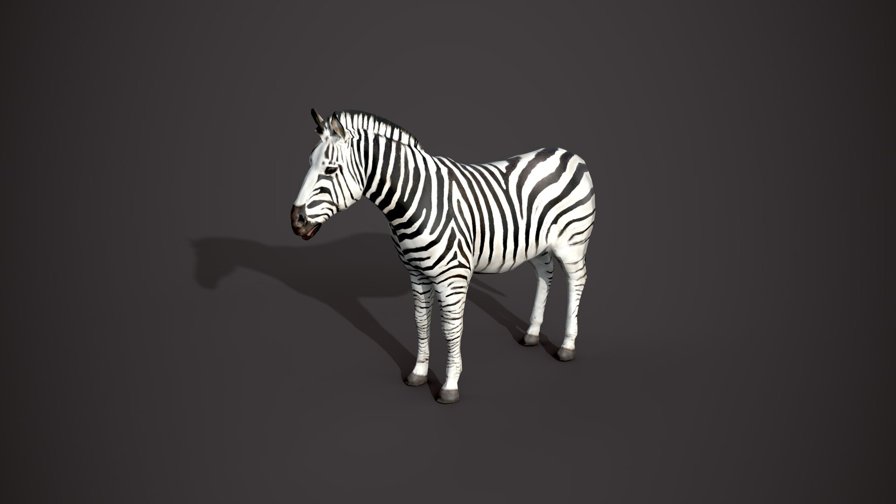ArtStation - Animal Zebra | Game Assets