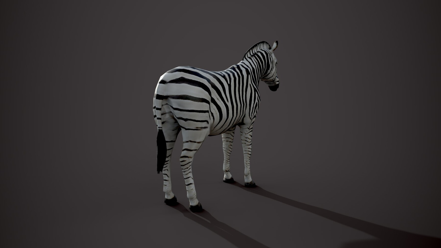 ArtStation - Animal Zebra | Game Assets