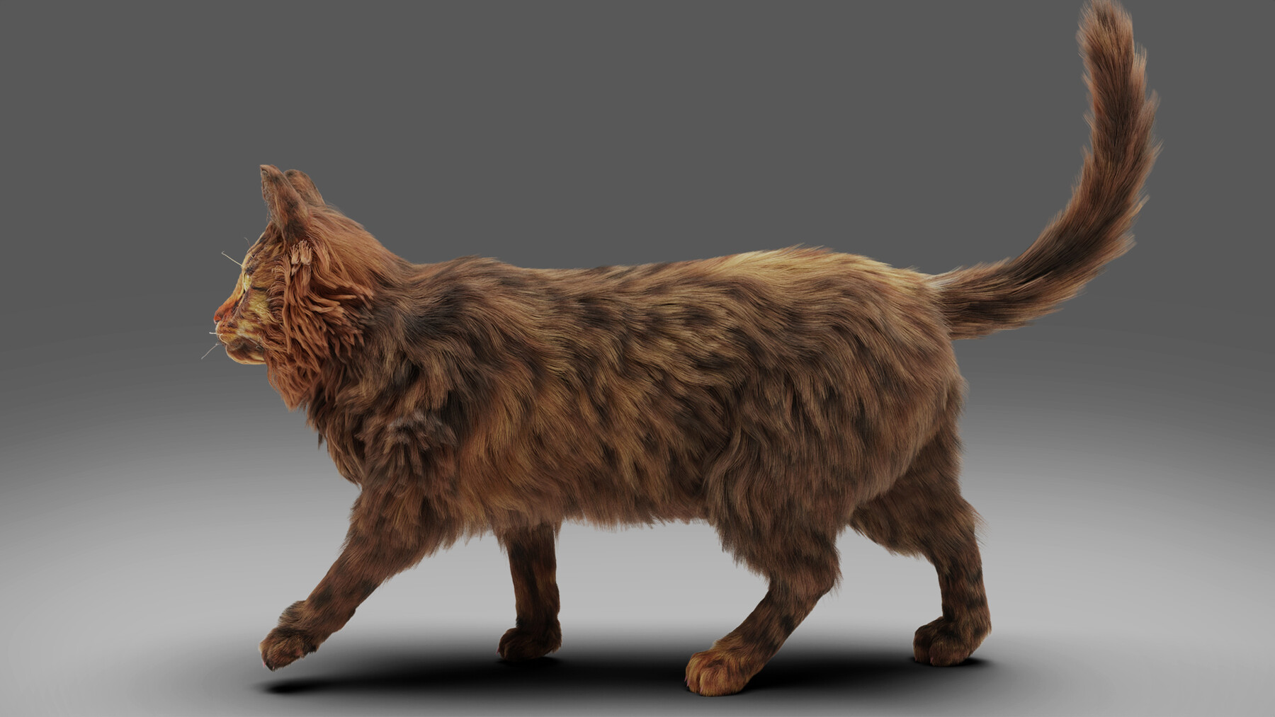 ArtStation - Fur Cat Grey Rigged and Animated | Game Assets