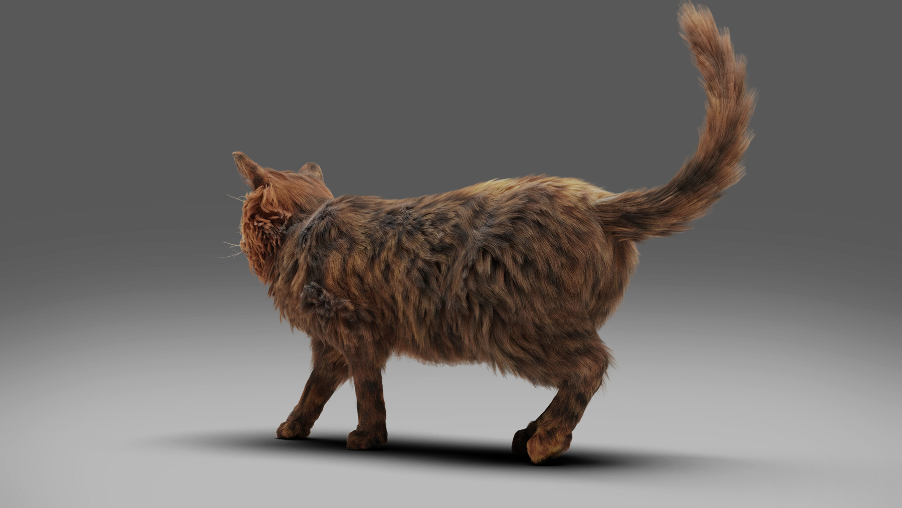 ArtStation - Fur Cat Grey Rigged and Animated | Game Assets