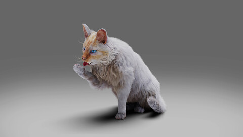 ArtStation - Fur Cat White Rigged and Animated in Blender | Game Assets