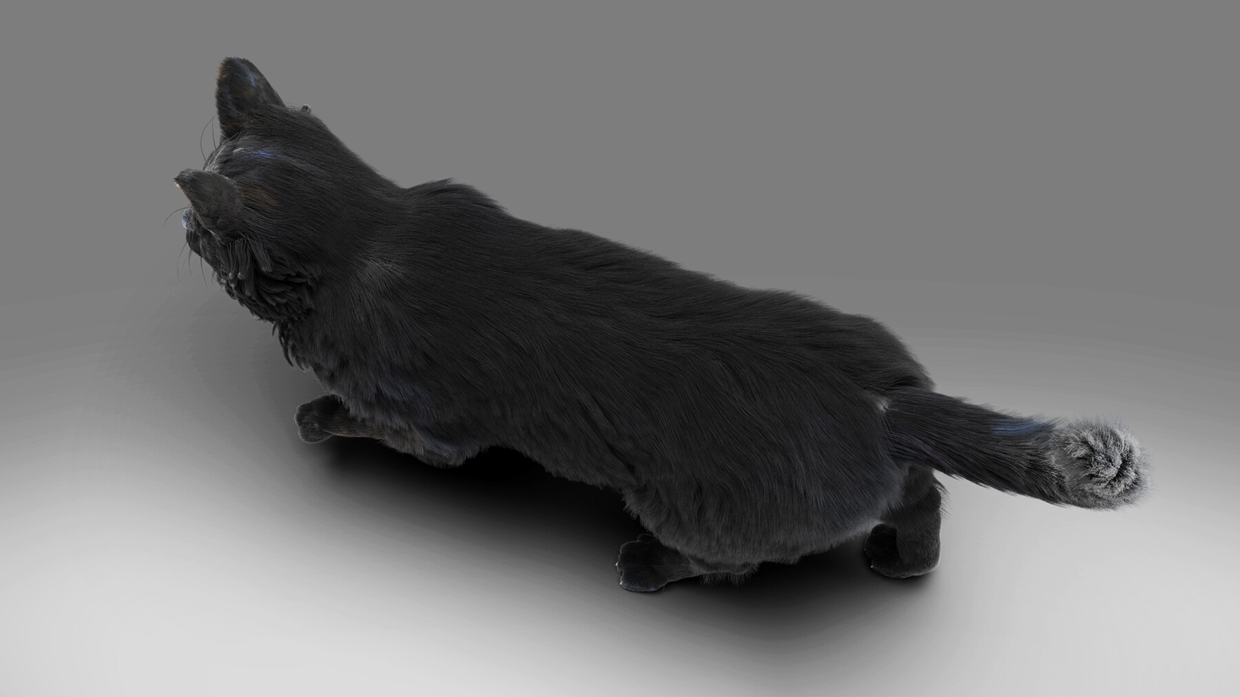 ArtStation - Fur Cat Black Rigged and Animated in Blender | Game Assets