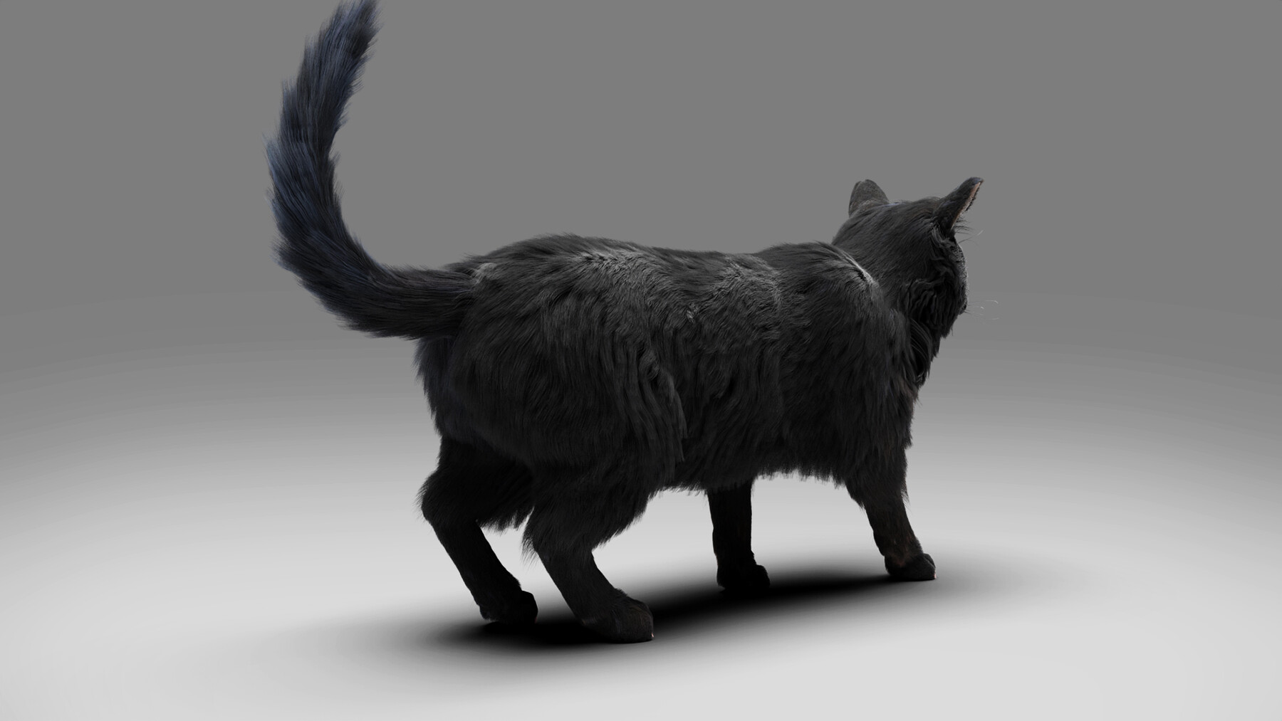 ArtStation - Fur Cat Black Rigged and Animated in Blender | Game Assets