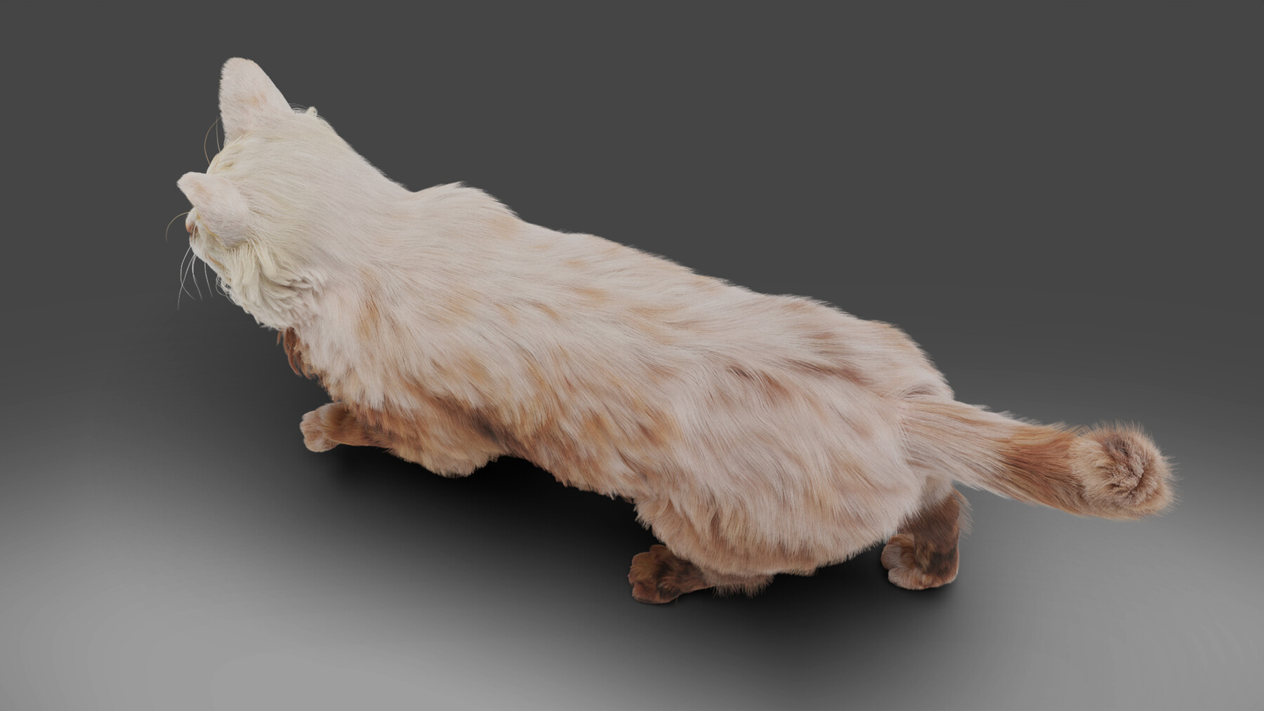 ArtStation - Fur Cat White V2 Rigged and Animated | Game Assets