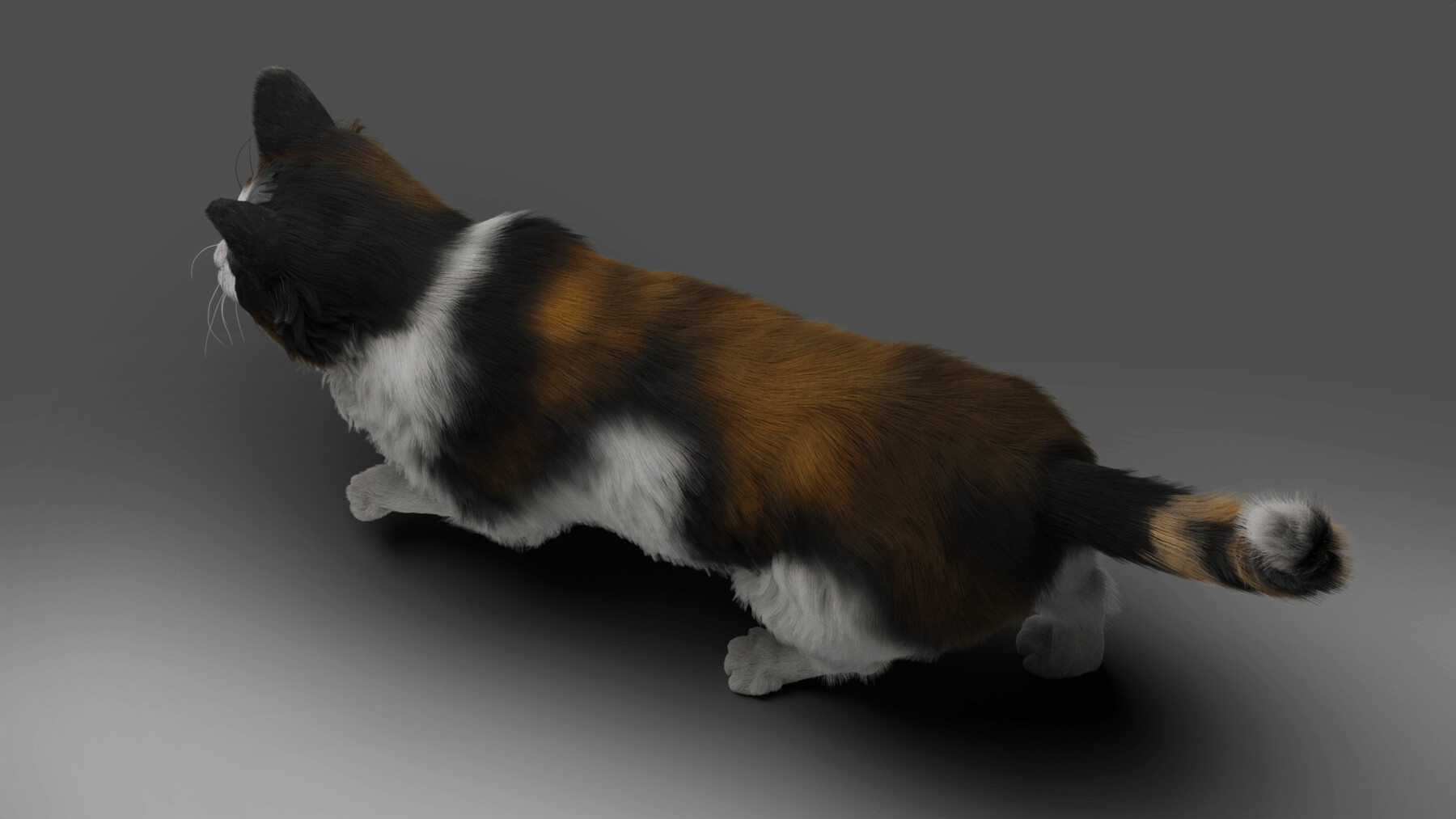 ArtStation - Fur Calico Cat Rigged and Animated | Game Assets