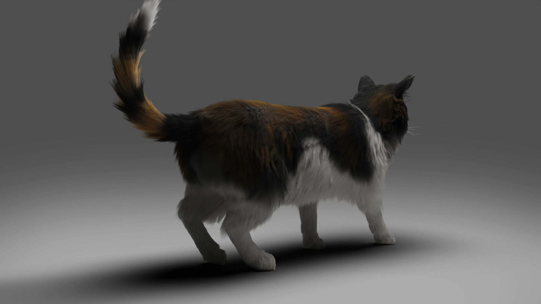 ArtStation - Fur Calico Cat Rigged and Animated | Game Assets