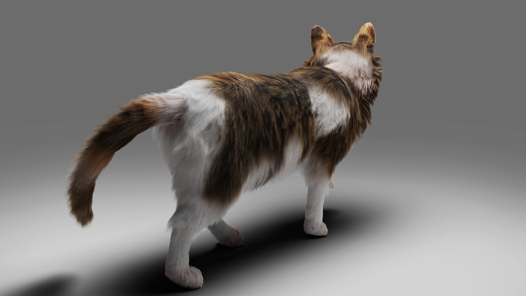 ArtStation - Fur Cat Calico V03 Rigged and Animated | Game Assets