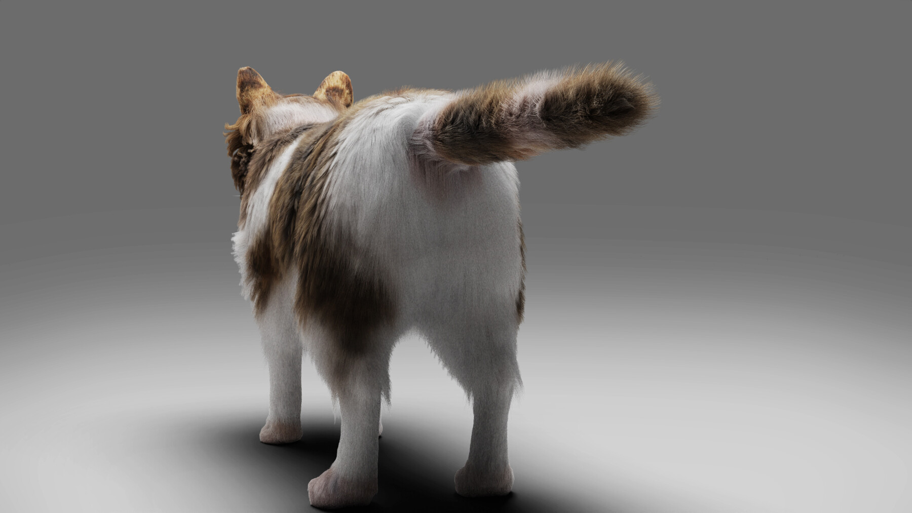 ArtStation - Fur Cat Calico V03 Rigged and Animated | Game Assets