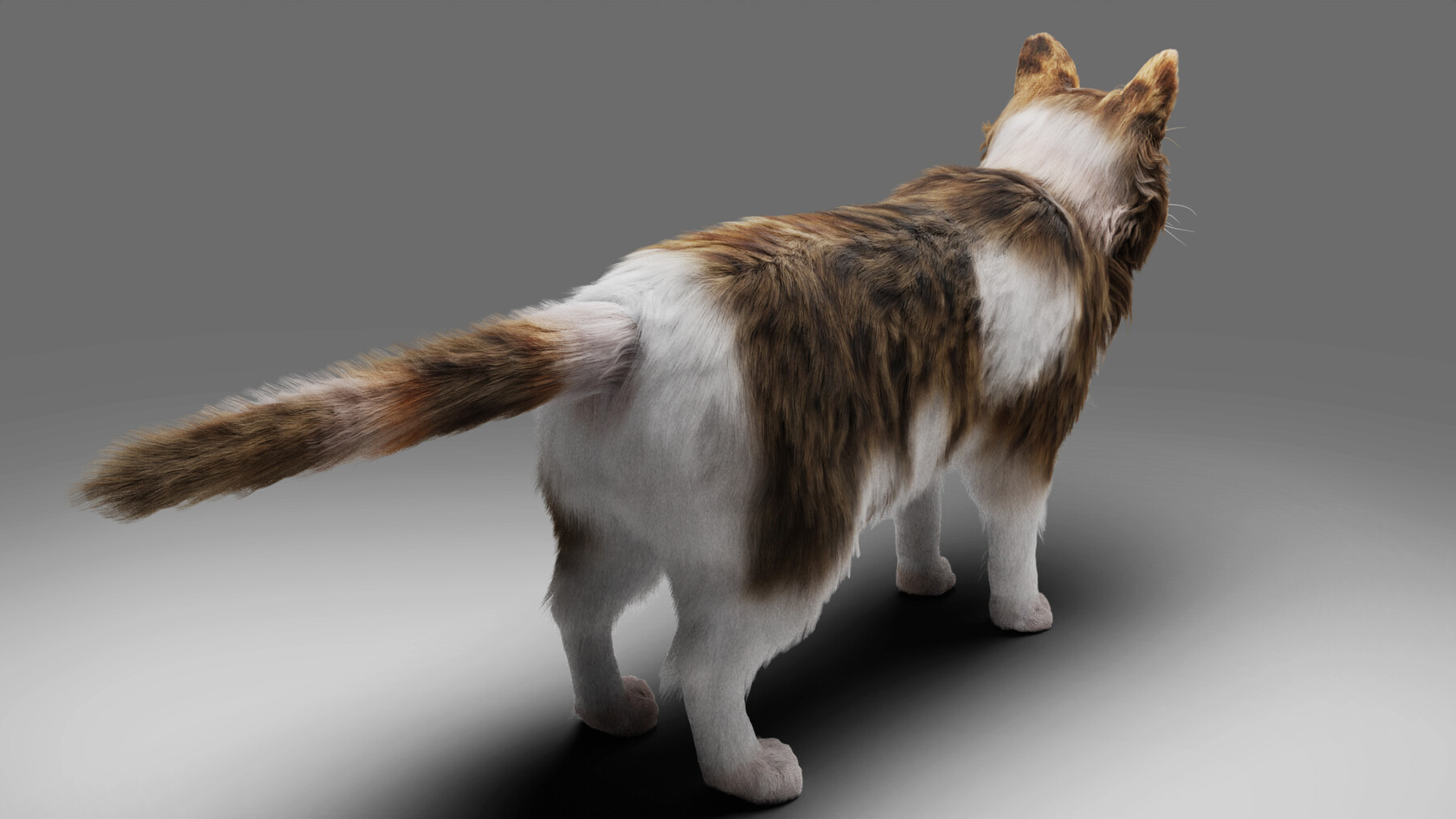 ArtStation - Fur Cat Calico V03 Rigged and Animated | Game Assets