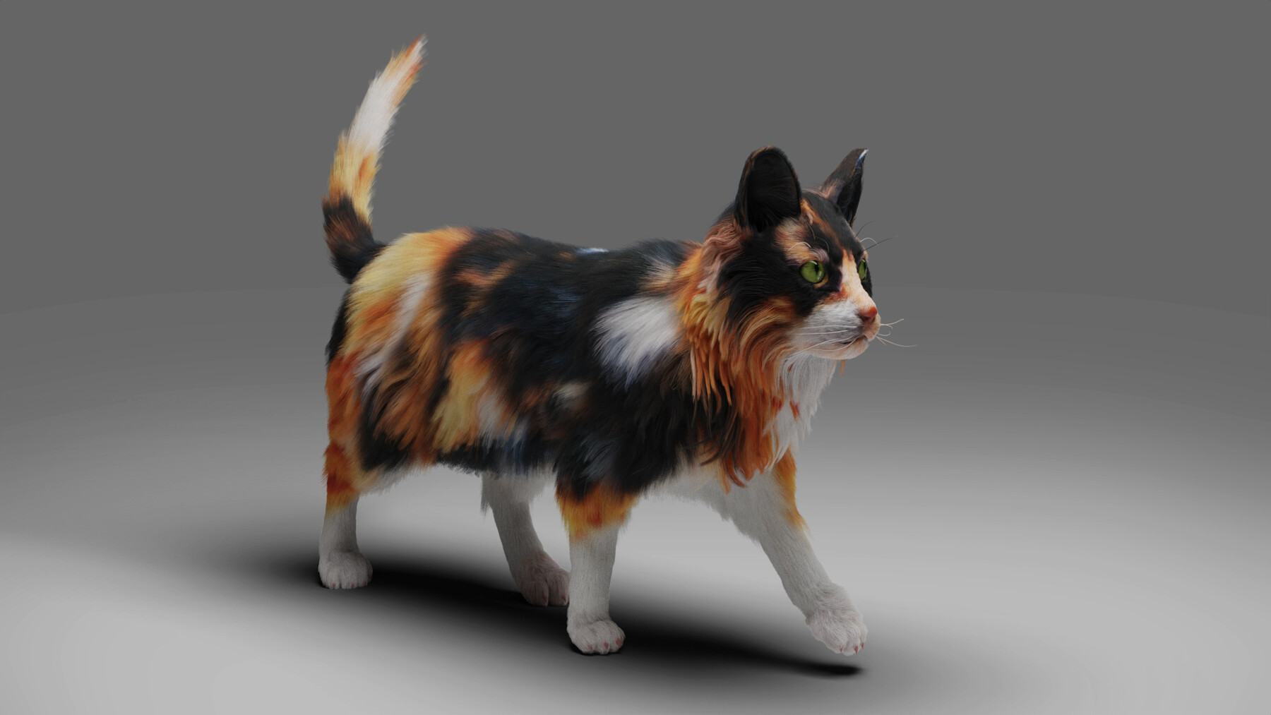 ArtStation - Fur Calico Cat V04 Rigged and Animated | Game Assets
