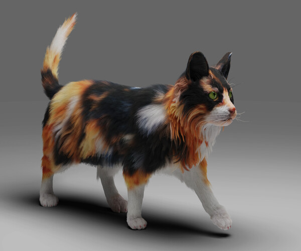 ArtStation - Fur Calico Cat V04 Rigged and Animated | Game Assets