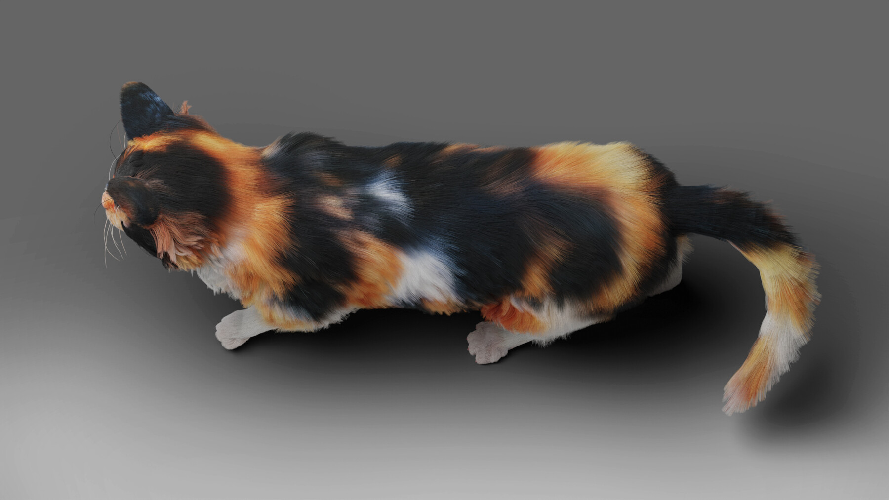ArtStation - Fur Calico Cat V04 Rigged and Animated | Game Assets