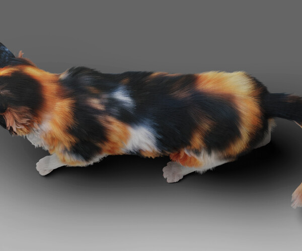 ArtStation - Fur Calico Cat V04 Rigged and Animated | Game Assets