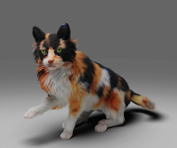 ArtStation - Fur Calico Cat V04 Rigged and Animated | Game Assets