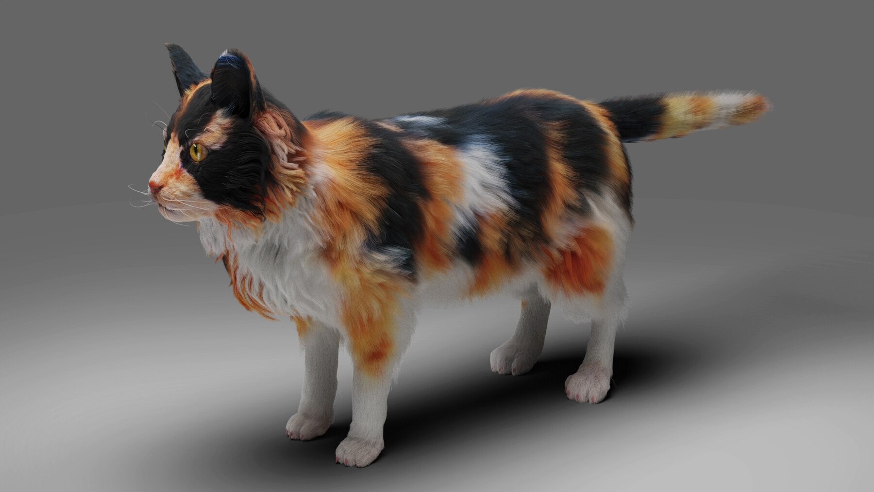 ArtStation - Fur Calico Cat V04 Rigged and Animated | Game Assets