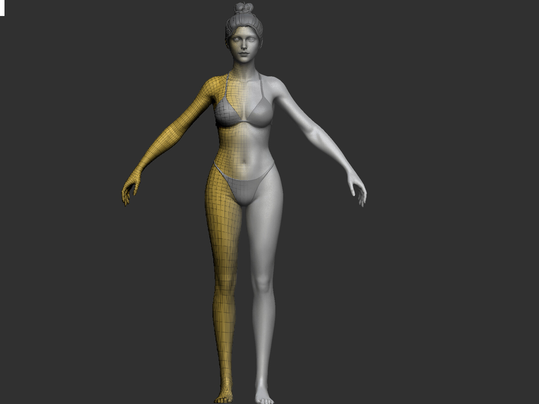ArtStation - Caucasian Realistic character woman highpoly mesh anatomy girl hair bar young ...