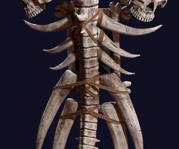 ArtStation - Blender 3D Modeling & Sculpting the Boneshield - Full ...