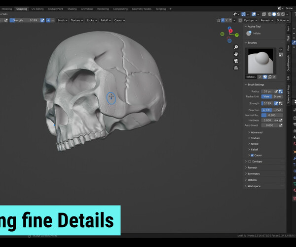 ArtStation - Blender 3D Modeling & Sculpting the Boneshield - Full Video - Tutorial - Alpha ...