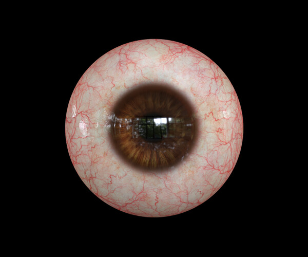 ArtStation - Eye Brown Real-time 3D model 4k texture Marmoset Toolbag3 ...