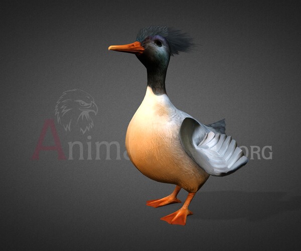 ArtStation - Duck-3-Idle2 | Game Assets