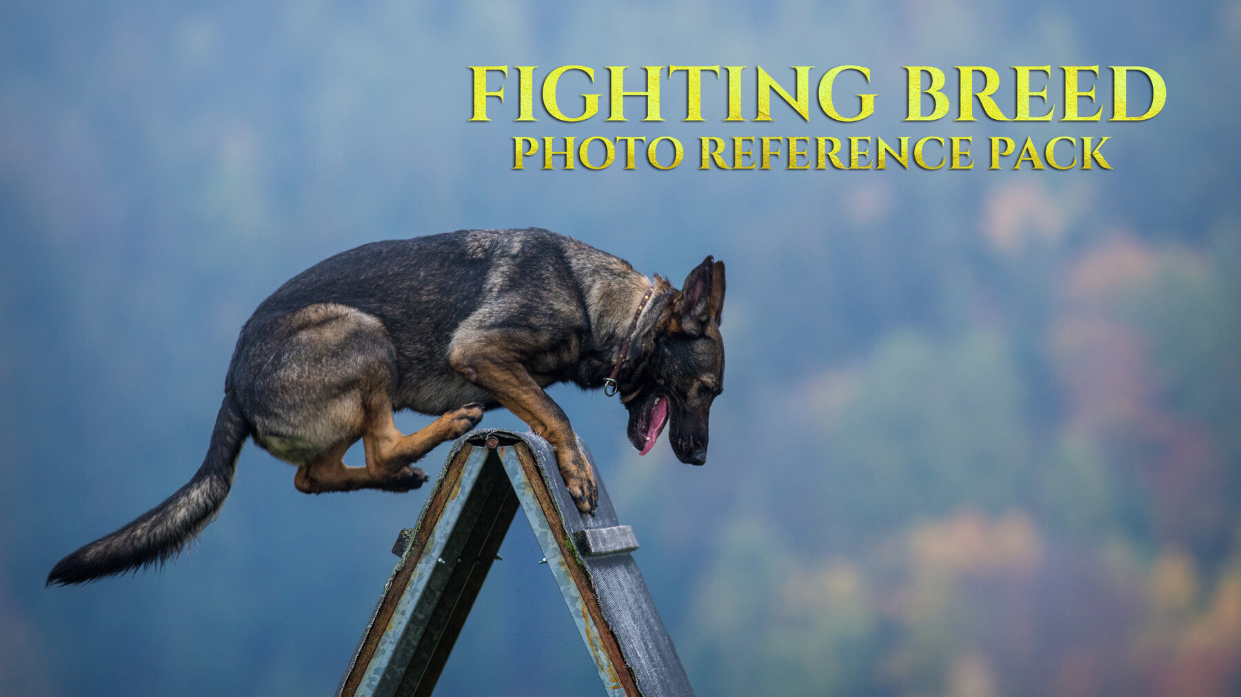 ArtStation - Fighting Breed - Reference Photo Pack For Artists 296 ...