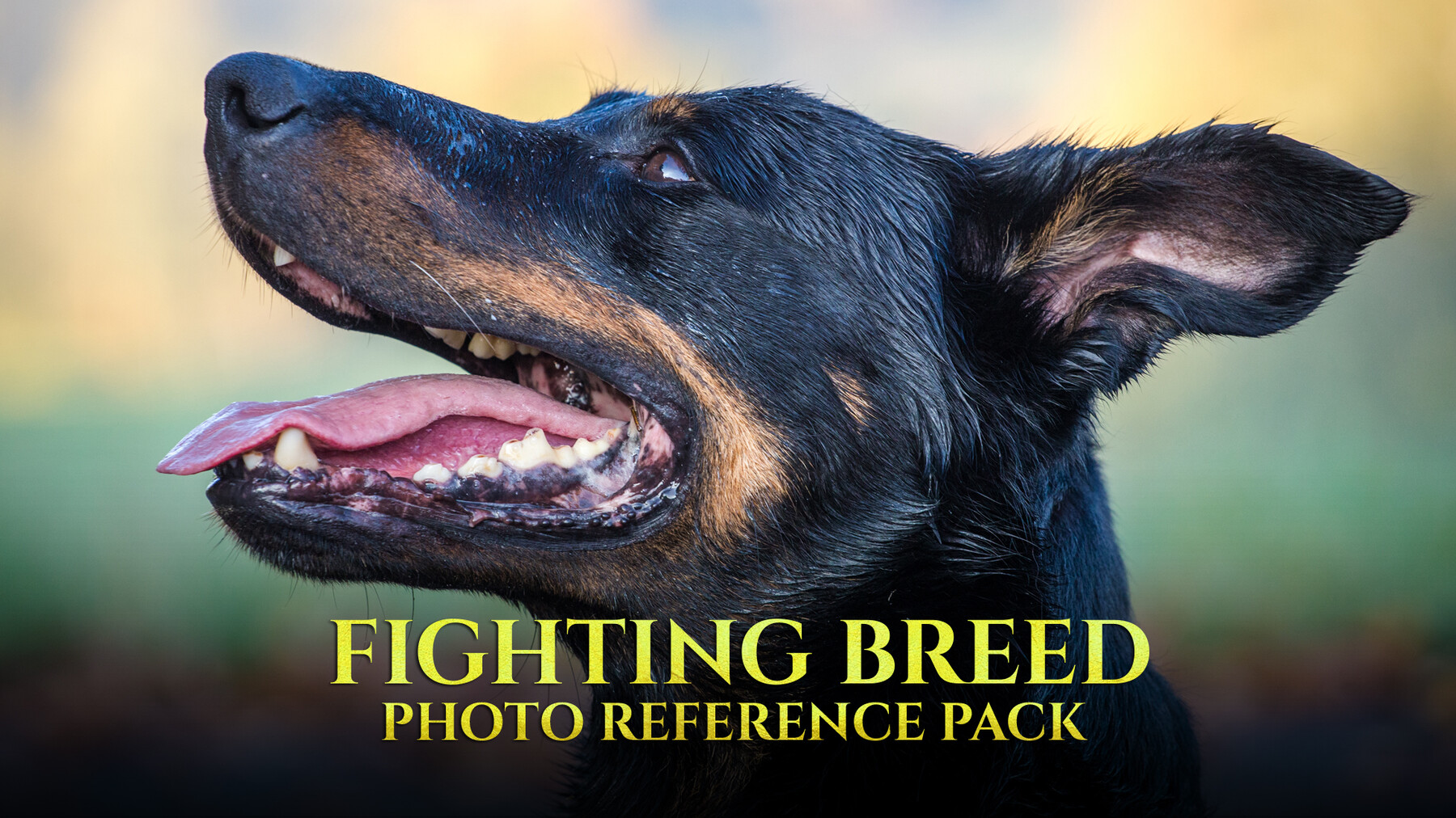 ArtStation - Fighting Breed - Reference Photo Pack For Artists 296 ...