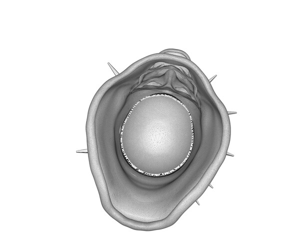 ArtStation - The Penitent One Helmet Blasphemous Stoic Mask | Resources