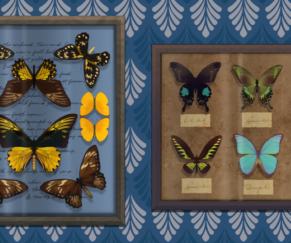 ArtStation - Butterfly & Moth & Scorpion Insect Specimen Collection (35 ...