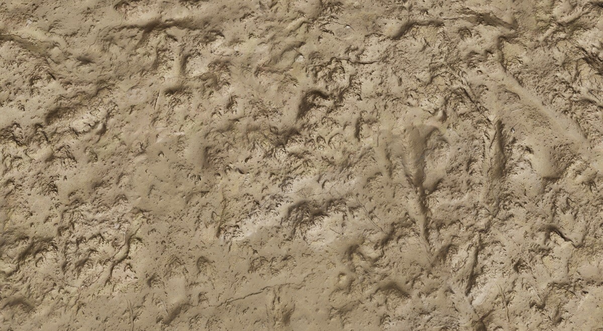 ArtStation - Wet Sand PBR Texture | Game Assets