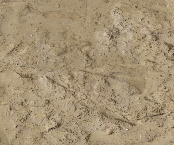 ArtStation - Wet Sand PBR Texture | Game Assets