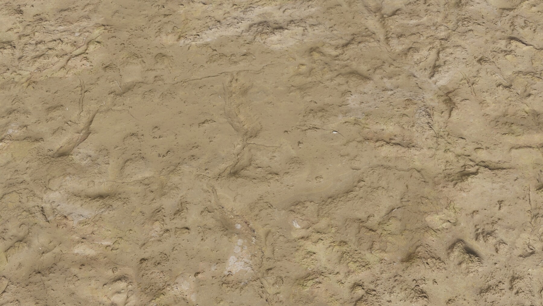 ArtStation - Wet Sand PBR Texture | Game Assets