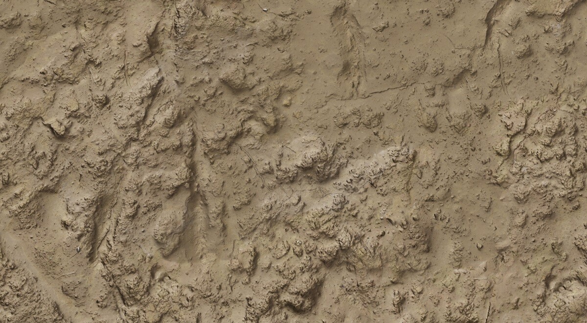 ArtStation - Wet Sand PBR Texture | Game Assets