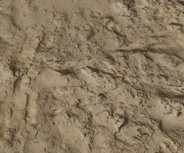 ArtStation - Wet Sand PBR Texture | Game Assets