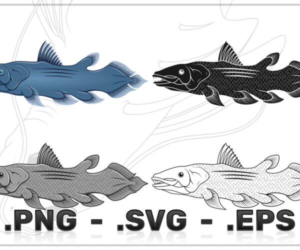 ArtStation - Mustache Fish Vector Design | Artworks