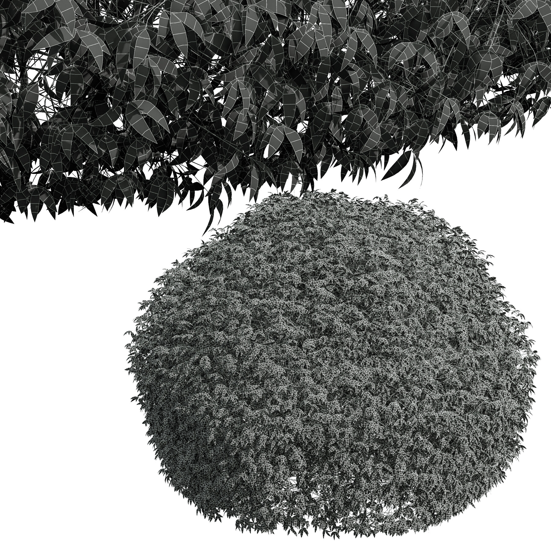 ArtStation - New Plant Pyrrosia Lingua Hedge Sphere Box Hedge | Resources
