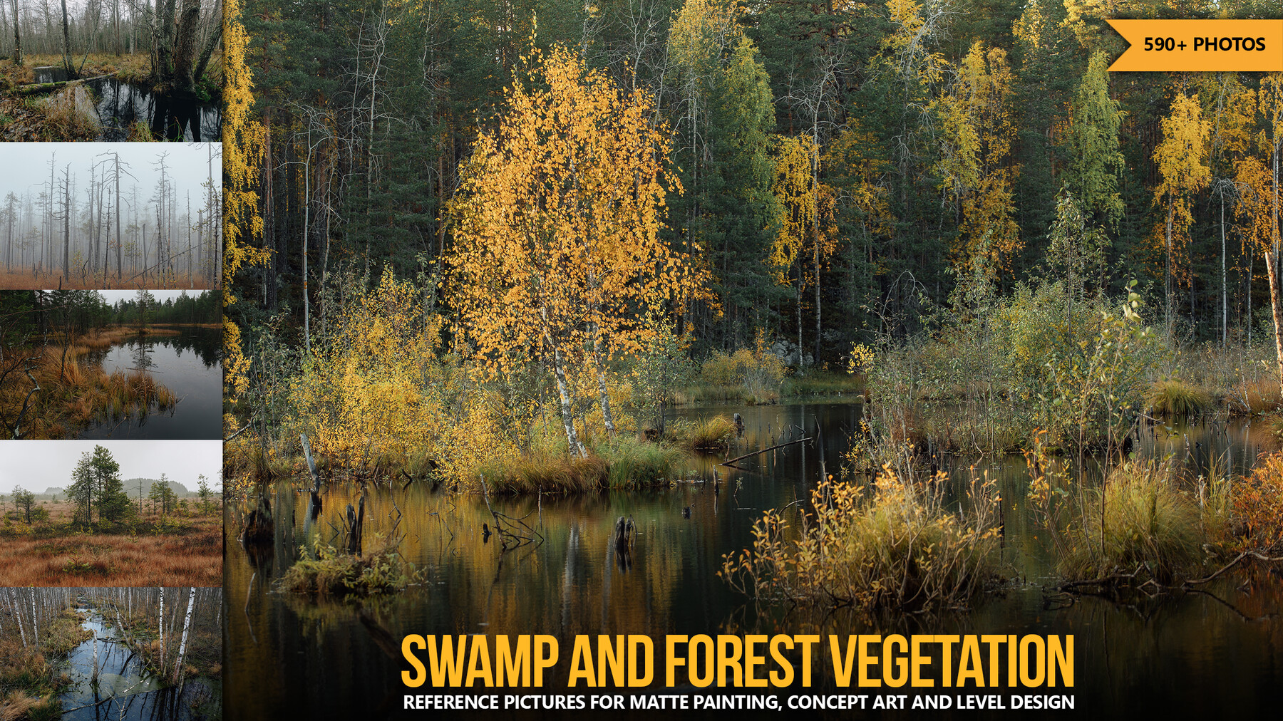 ArtStation - 590+ Swamp Forest Vegetation Reference Pictures | Resources