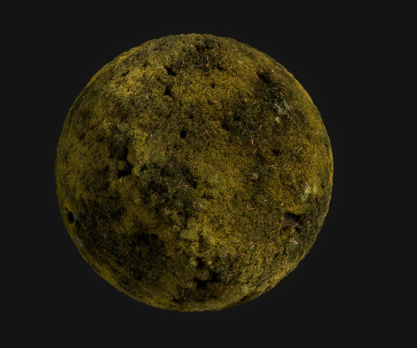 ArtStation - Moss Material - Substance Painter | Resources