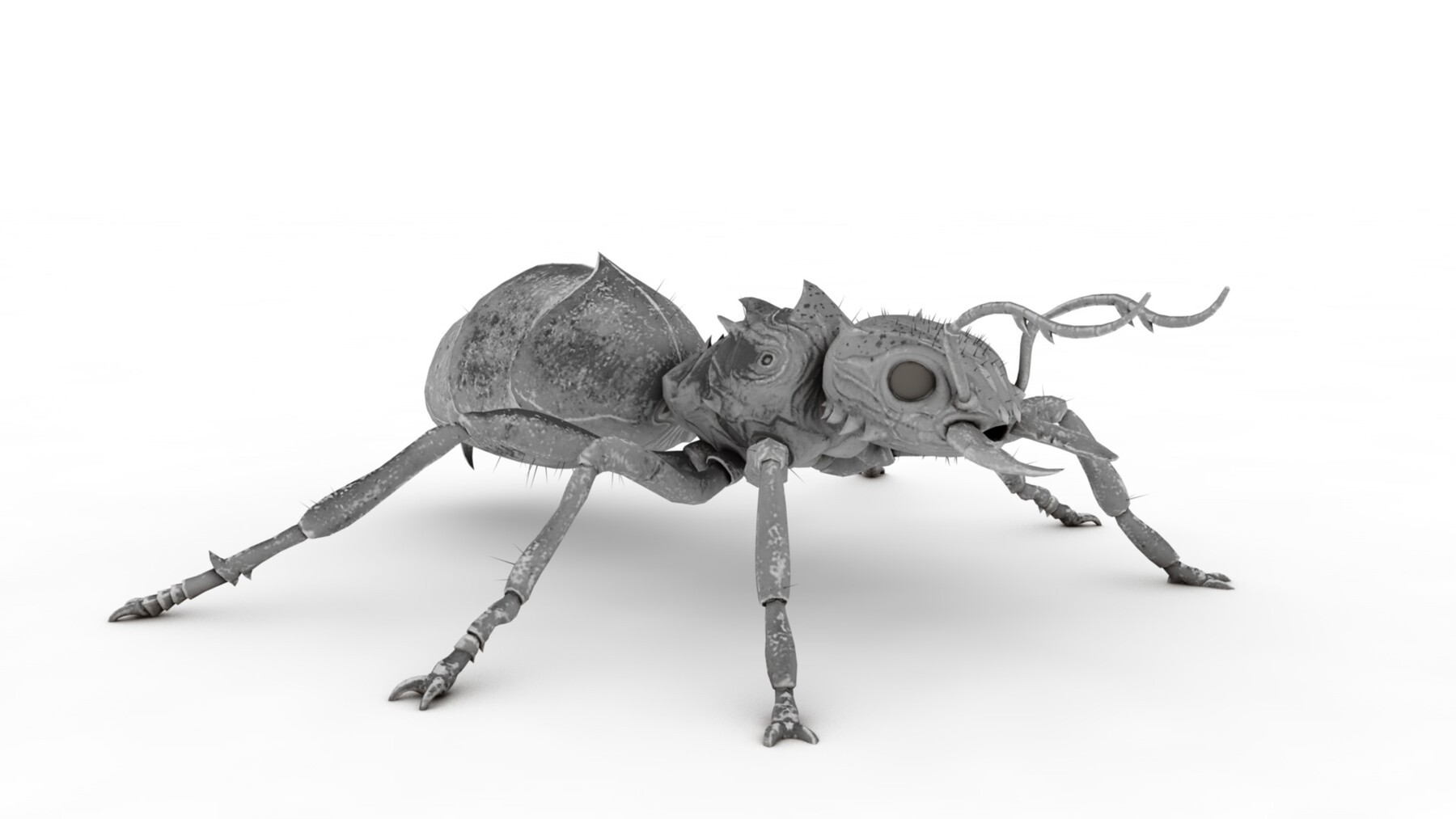 ArtStation - Ant | Game Assets